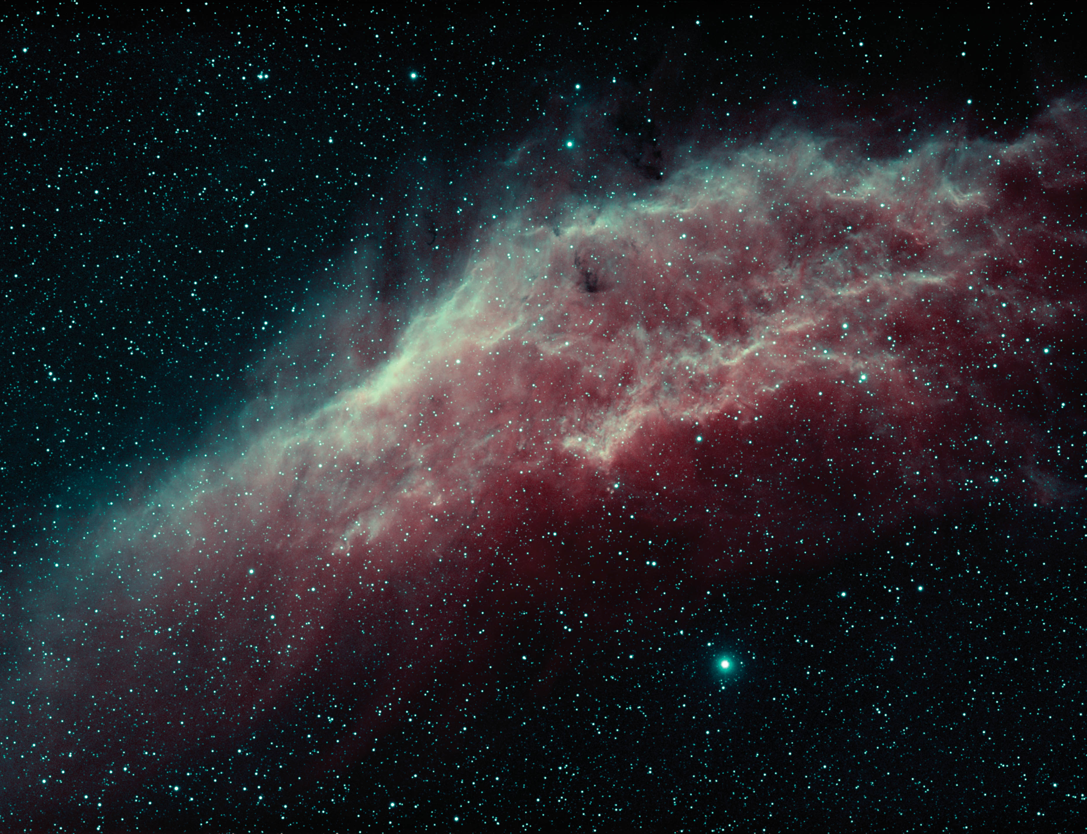 NGC 1499 - Skies By Africa